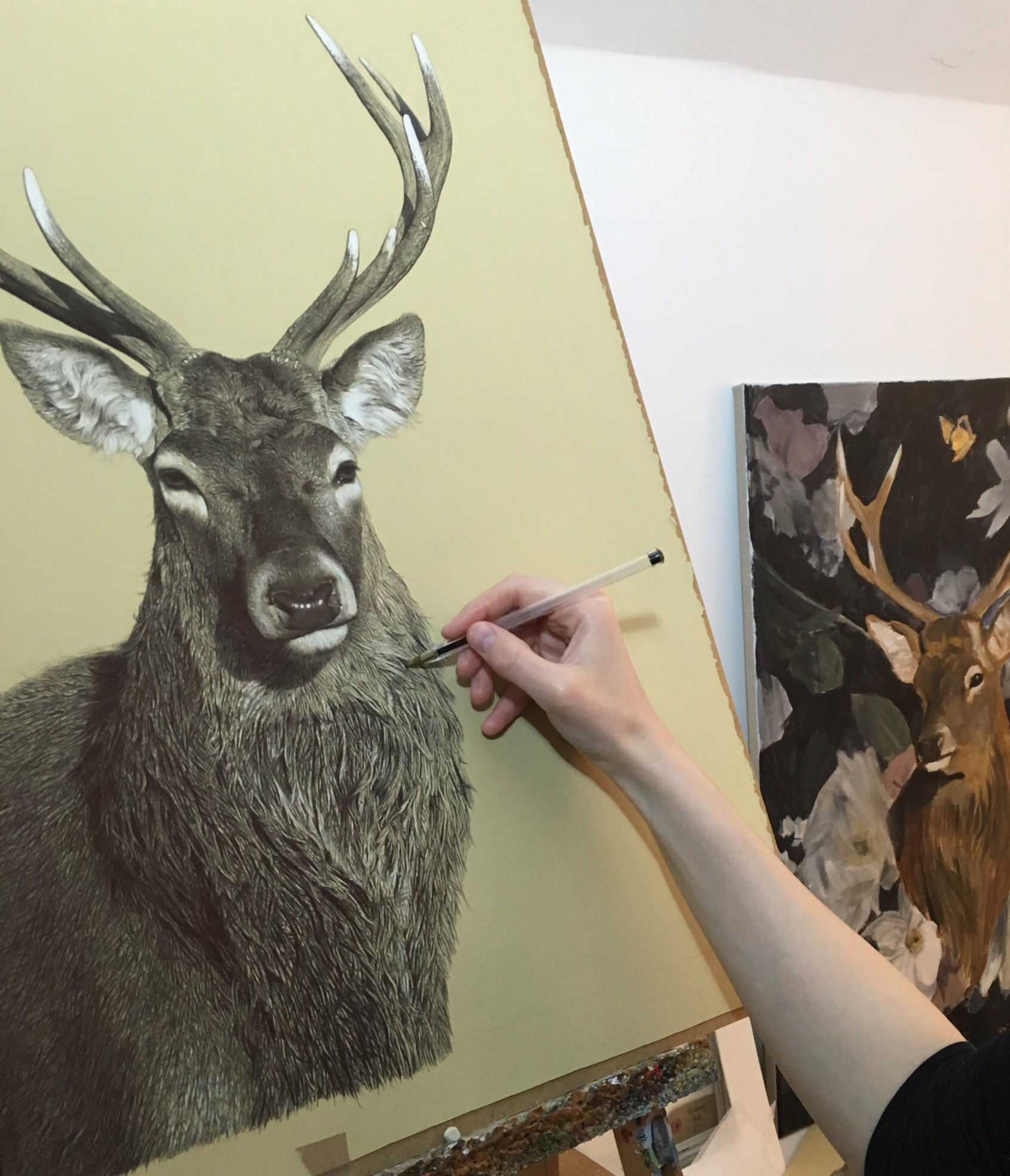 Amazing wildlife and pet portraits by Francesca Simpson - Home ...