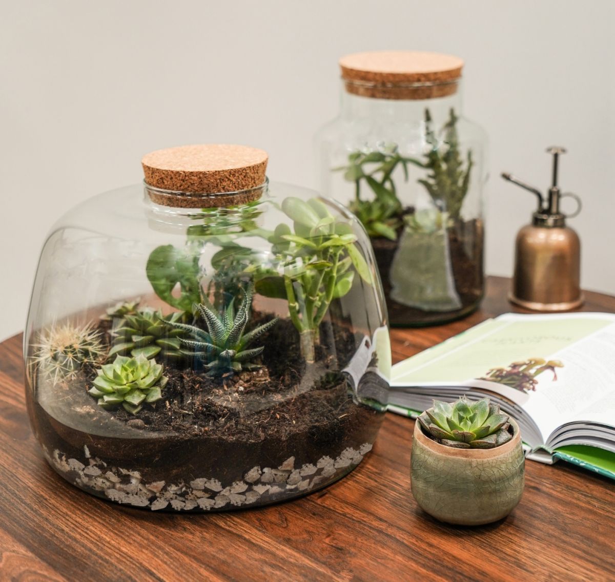 Introducing the AW23 Ivyline collection - Home & Giftware Magazine