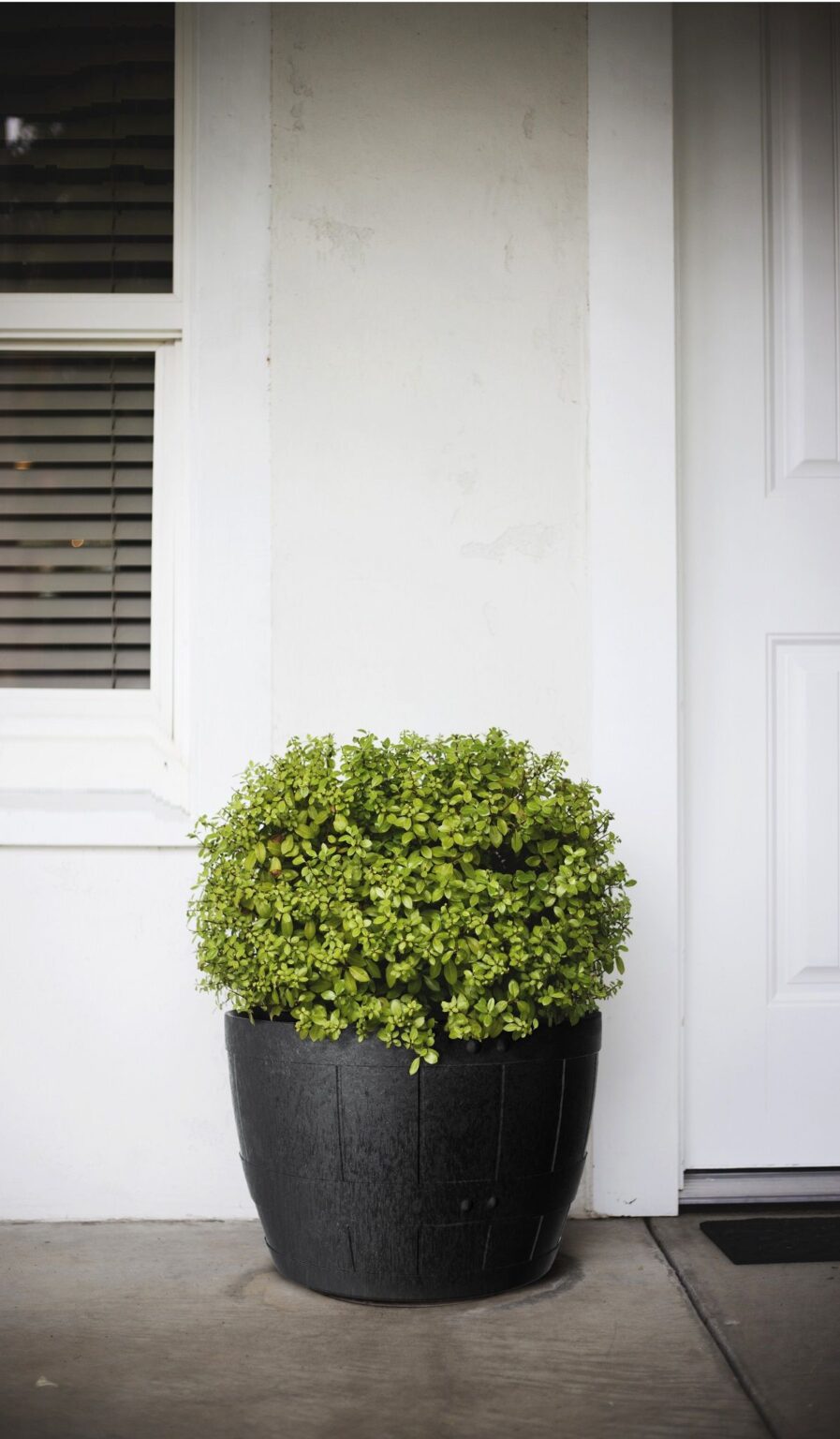 Sustainability at its best: Primeur recycled planters - Home & Giftware ...